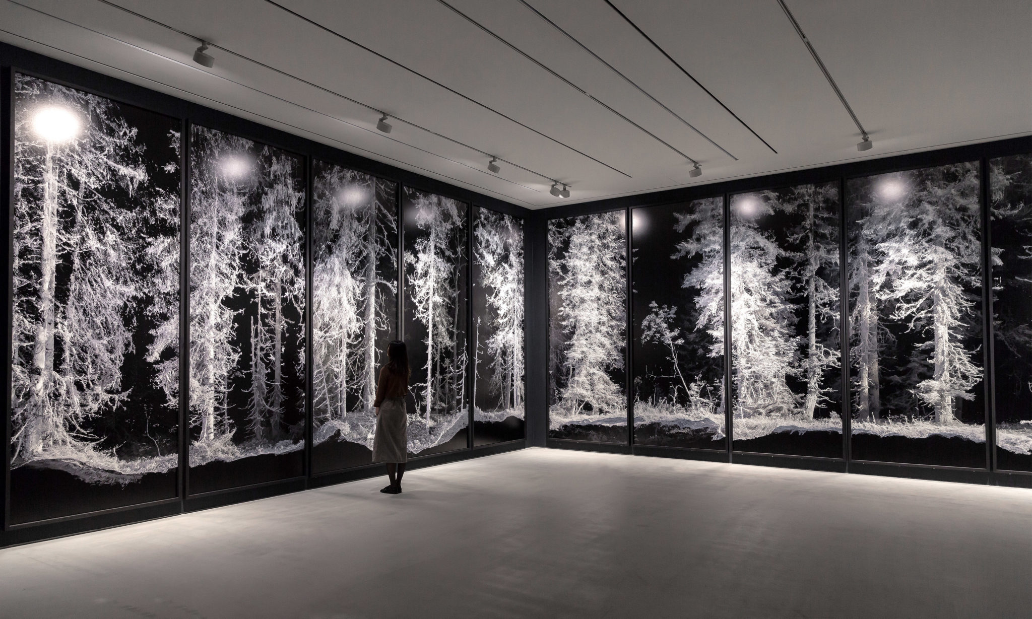 Davide Quayola, lauréat 2020 de la biennale des Imaginaires Numériques ...