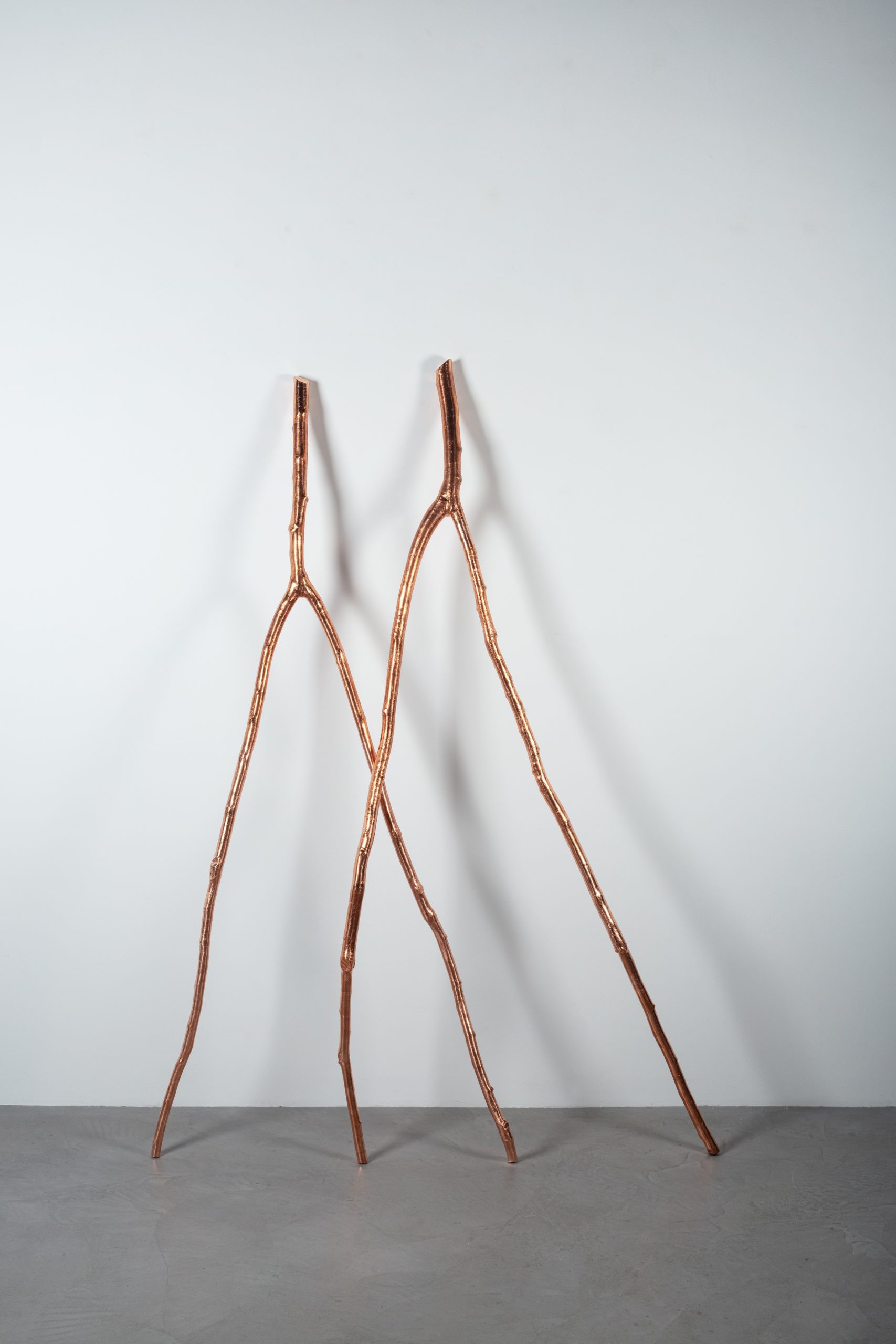 Sinople – Galeries & Musées